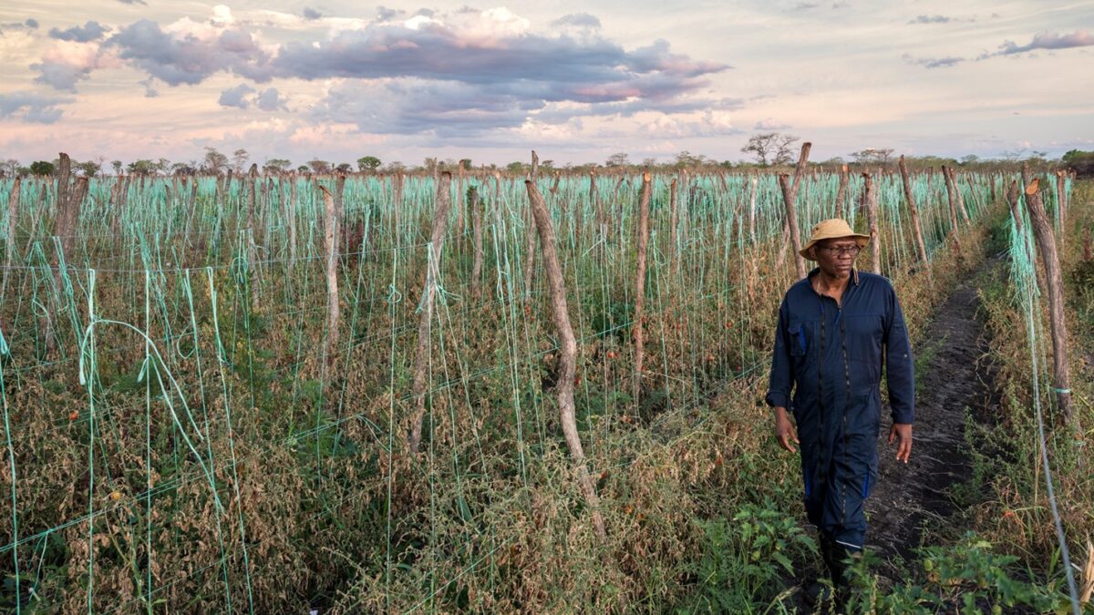 Malunga & Esidakeni Partners Face Arrest As Farm Battle Turns Nasty ...